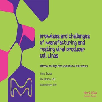 Promises and Challenges of Manufacturing and Testing Viral Producer ...
