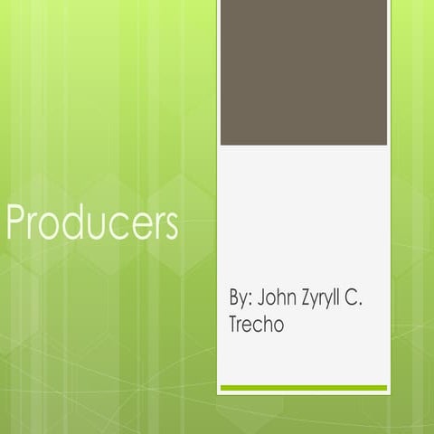 Producers | PPT