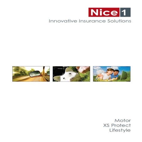 Nice 1 Product Range | PDF
