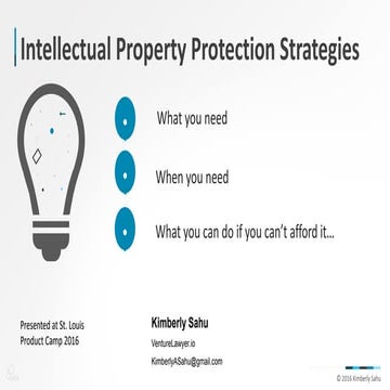 IP Protection Strategies | PPT