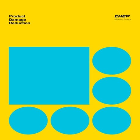 Product Damage Reduction_CHEP India | PDF