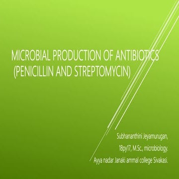 microbial production of antibiotics penicillin and streptomycin | PPTX