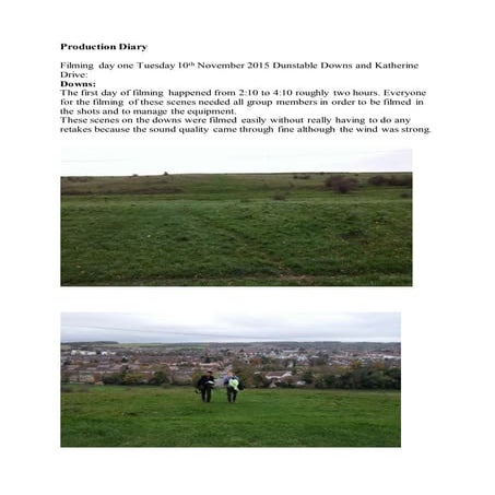 Production diar1 | DOCX