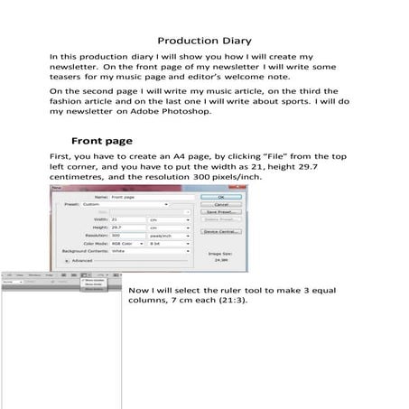 Production diary | PDF