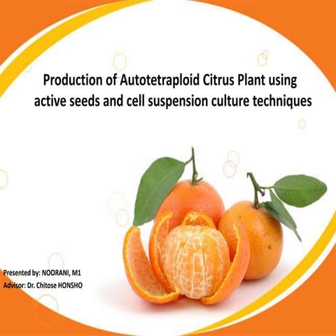 Production of autotetraploid citrus plant using active | PDF