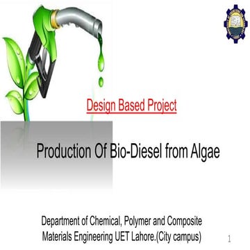 Production of biodiesel from algae | PPT