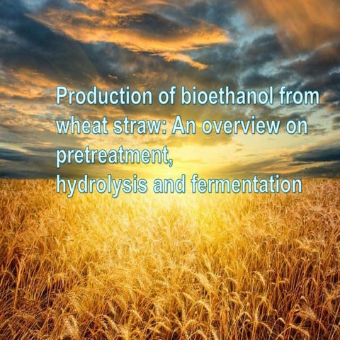 Production of bioethanol from wheat straw | PPTX