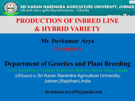 Hybridization Techniques in Crop Improvement | PDF