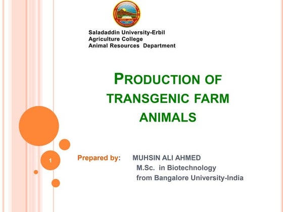 Transgenic Animals | PPTX | Genetics | Science