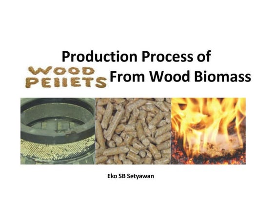 Biomass Pyrolysis | PPTX | Chemistry | Science