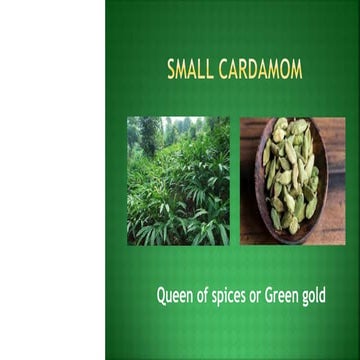 production profile of cardamom.pptx