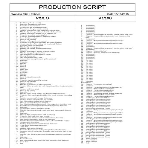 Music video script | DOCX