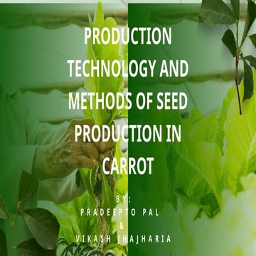 Production Technology and Methods of Seed Production in Carrot.pptx