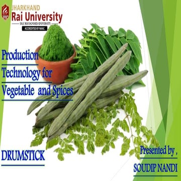 Production technology for vegetable and spices : DRUMSTICK ' MORINGA | PPTX