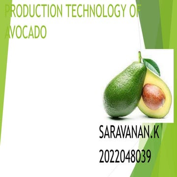 Avocado - a Short guide for Growing and Operational Procedures.pdf
