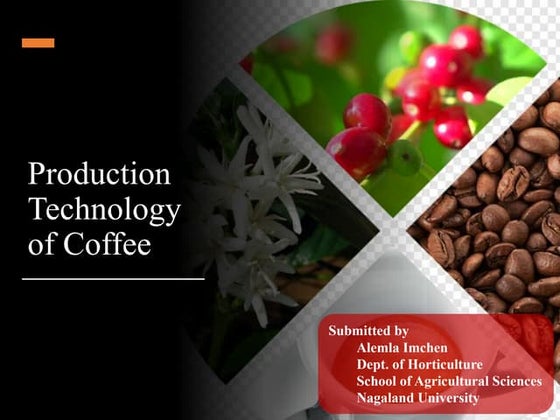 Coffee-Cultivation & Processing.pptx | Gardening | Home & Garden
