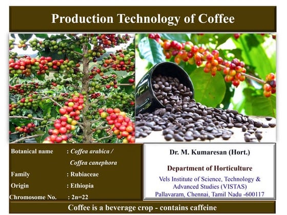 Coffee-Cultivation & Processing.pptx