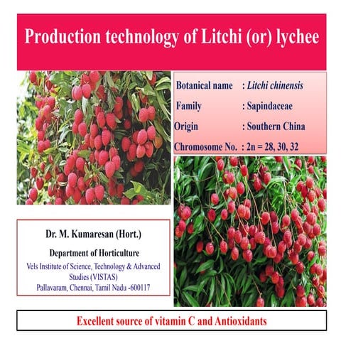 Production Technology of Litchi (or) lychee 1.pdf