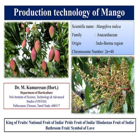 Advances in Production Technology of Mango.pdf
