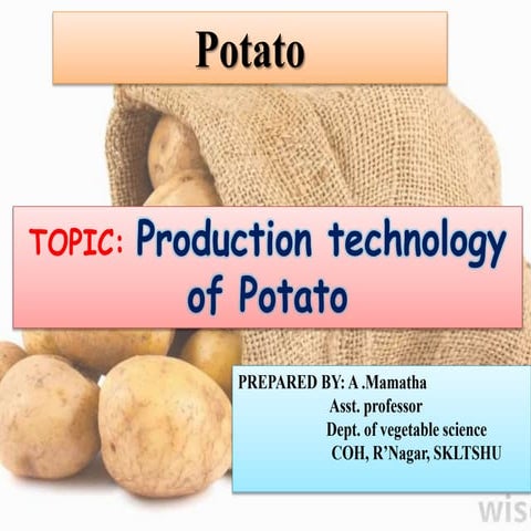 Production technology of Potato.pptx