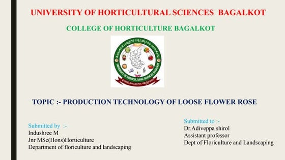 Rose Information in English-Rose Information for Project-Rose ...