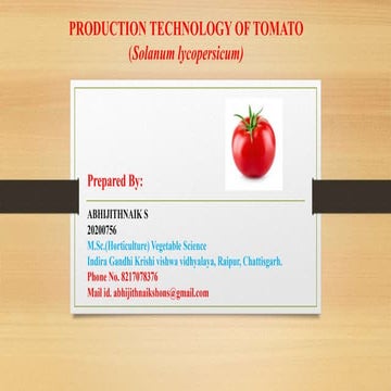 PRODUCTION TECHNOLOGY OF TOMATO.pptx