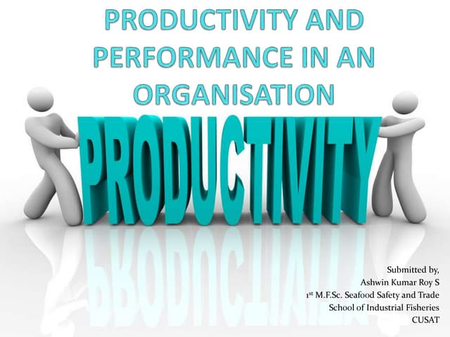 Productivity and efficiency | PPT