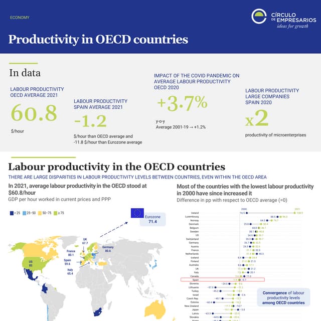 Productivity in OECD countries.pdf