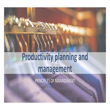Productivity planning and management | PPTX