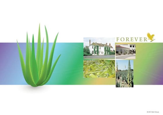 Forever Living Products Marketing Plan | PPTX