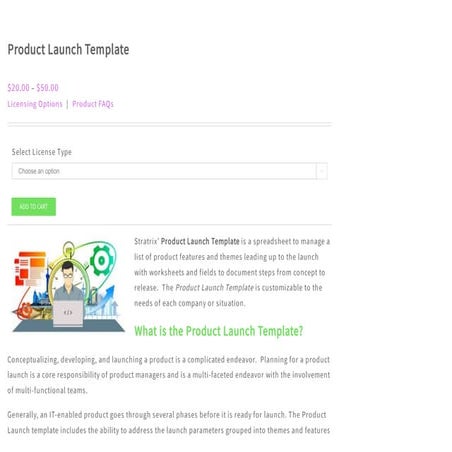 Product Launch Template | PDF