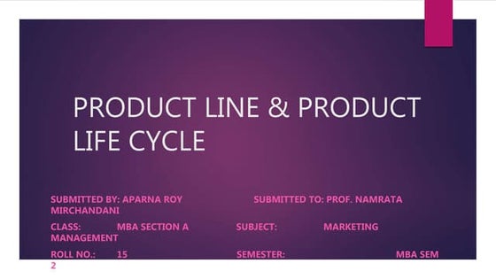 Product Life Cycle | PPT
