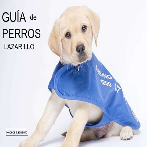 GUÍA DE PERROS LAZARILLO | PPTX