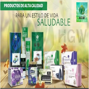 607318514-HGW-CATALOGO-DE-PRODUCTOS-PERU-2022.pdf