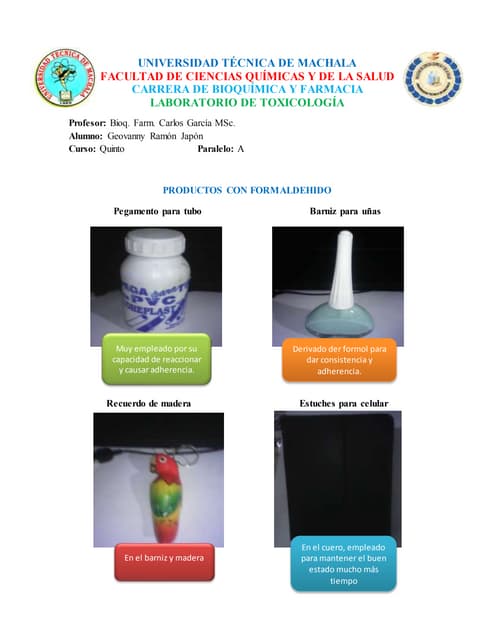 Certificate TEFL | PPT