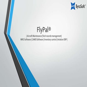 Product overview- FlyPal | PPTX