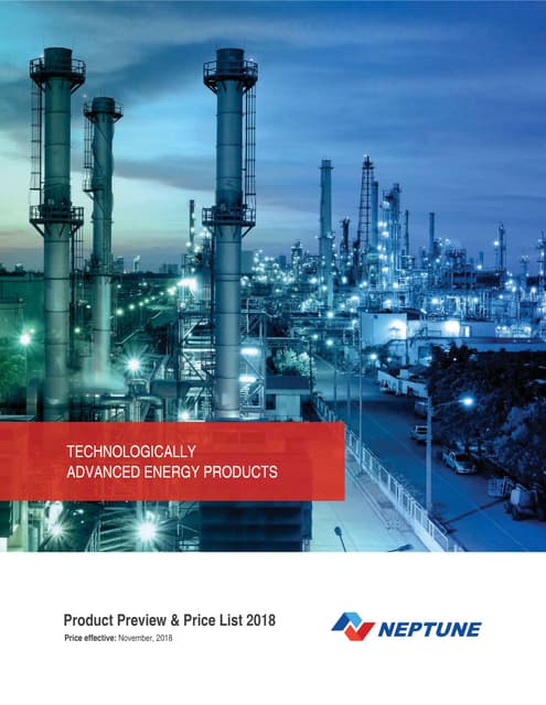 Neptune India Limited. presentations