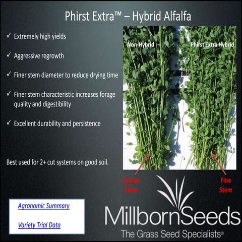 Alfalfa Products | PPTX | Agriculture | Industries