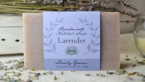 BOTSIO POWERPOINT PRESENTATION | PPT