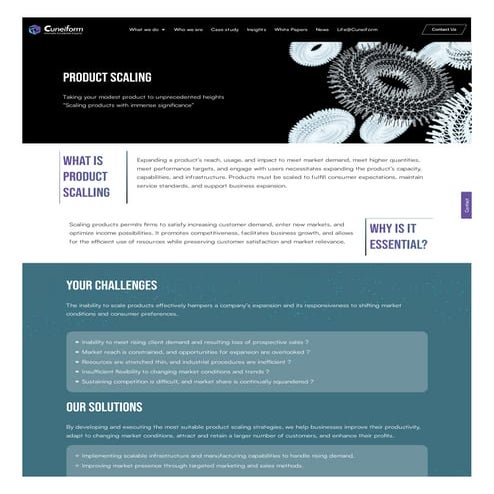 Top Growth Scaling Development Solutions USA | PDF