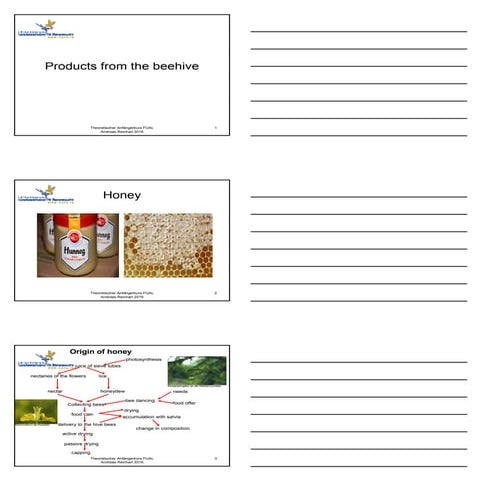 Products from the beehive theory course | PDF