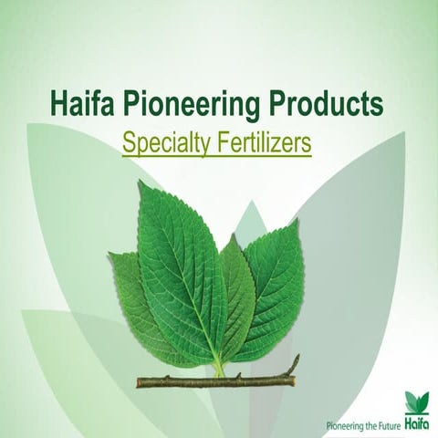 Haifa Range Products | PDF