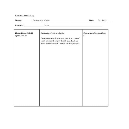 First Work Log | DOCX
