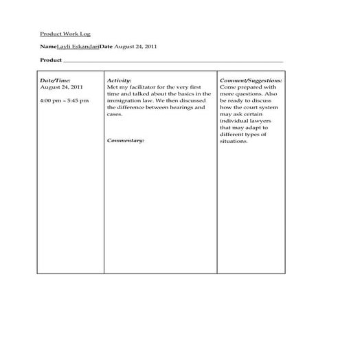 Product work log 03 01 | DOCX