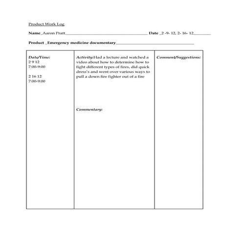 Product work log 4 | DOCX