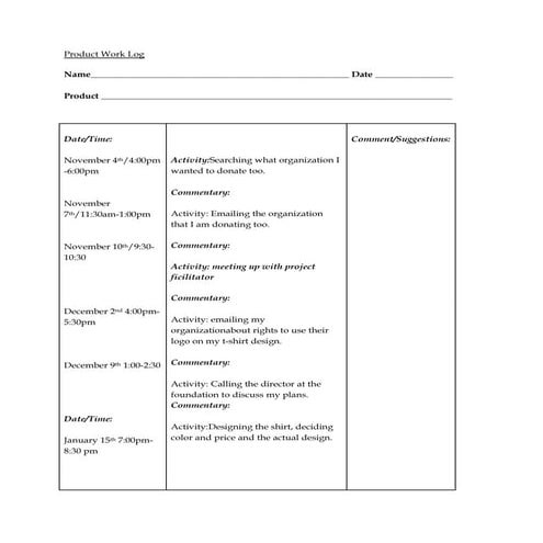 Product Work Log | DOCX