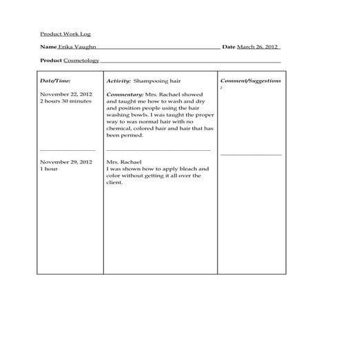Product Work Log Erika Vaughn | DOC
