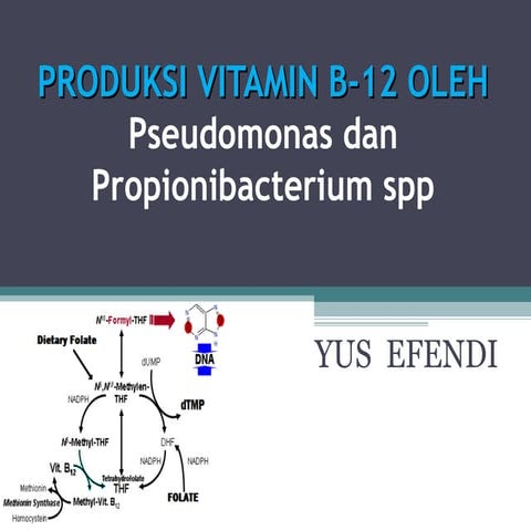 Produksi Vitamin B12 oleh Pseudomonas dan Propionibacterium spp | PPT