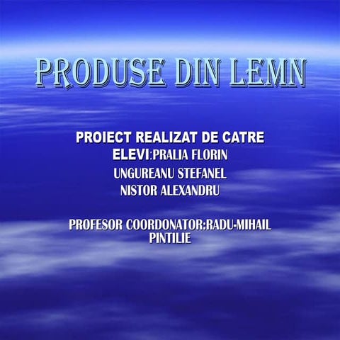 Produse din lemn | PPT