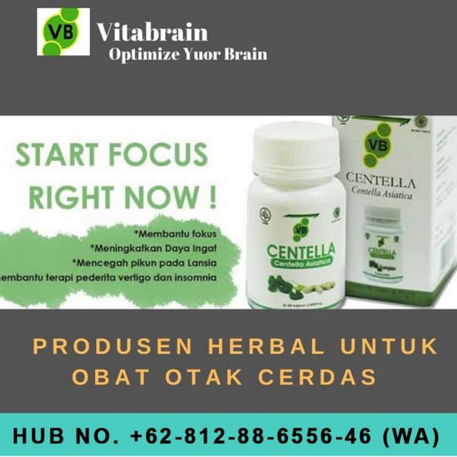 Produsen Vitamin Saraf Otak Untuk Dewasa Vitabrain | PDF